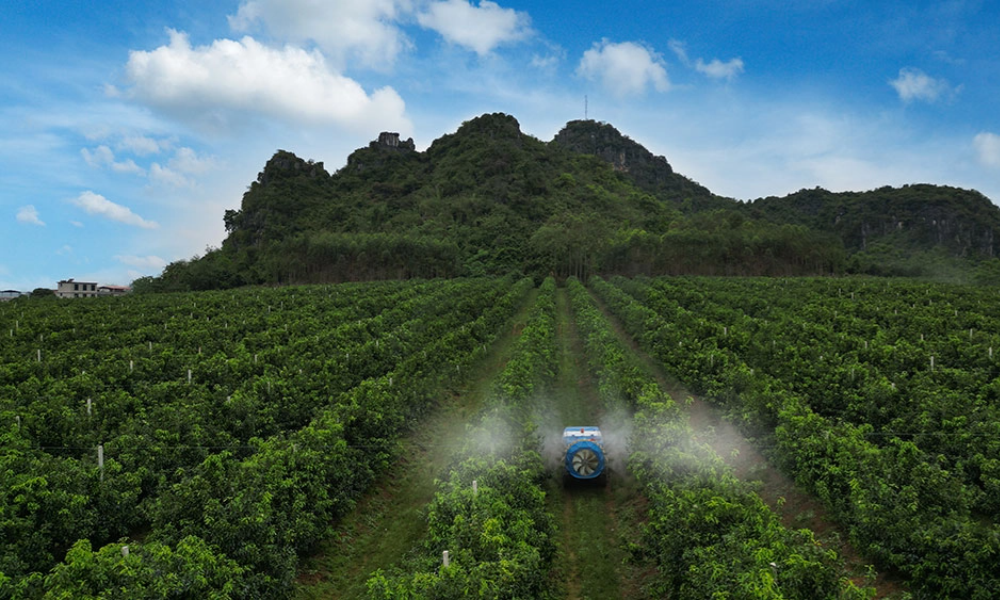 AGMA-Toyar Orchard Multifunctional Robot S1000 - Jiangsu Jiuheng ...